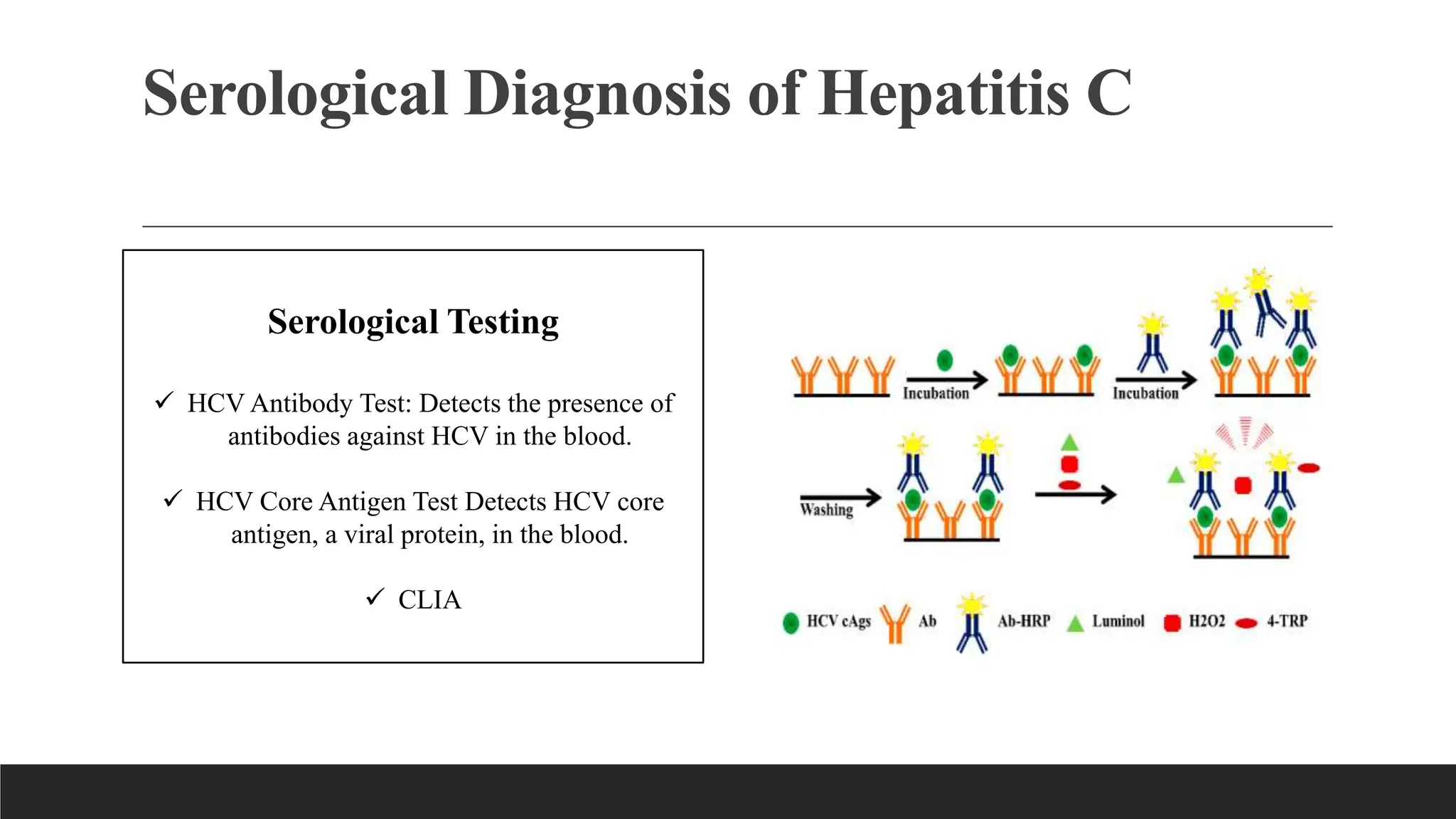 Serological Diagnosis of Hepatitis | PPTX