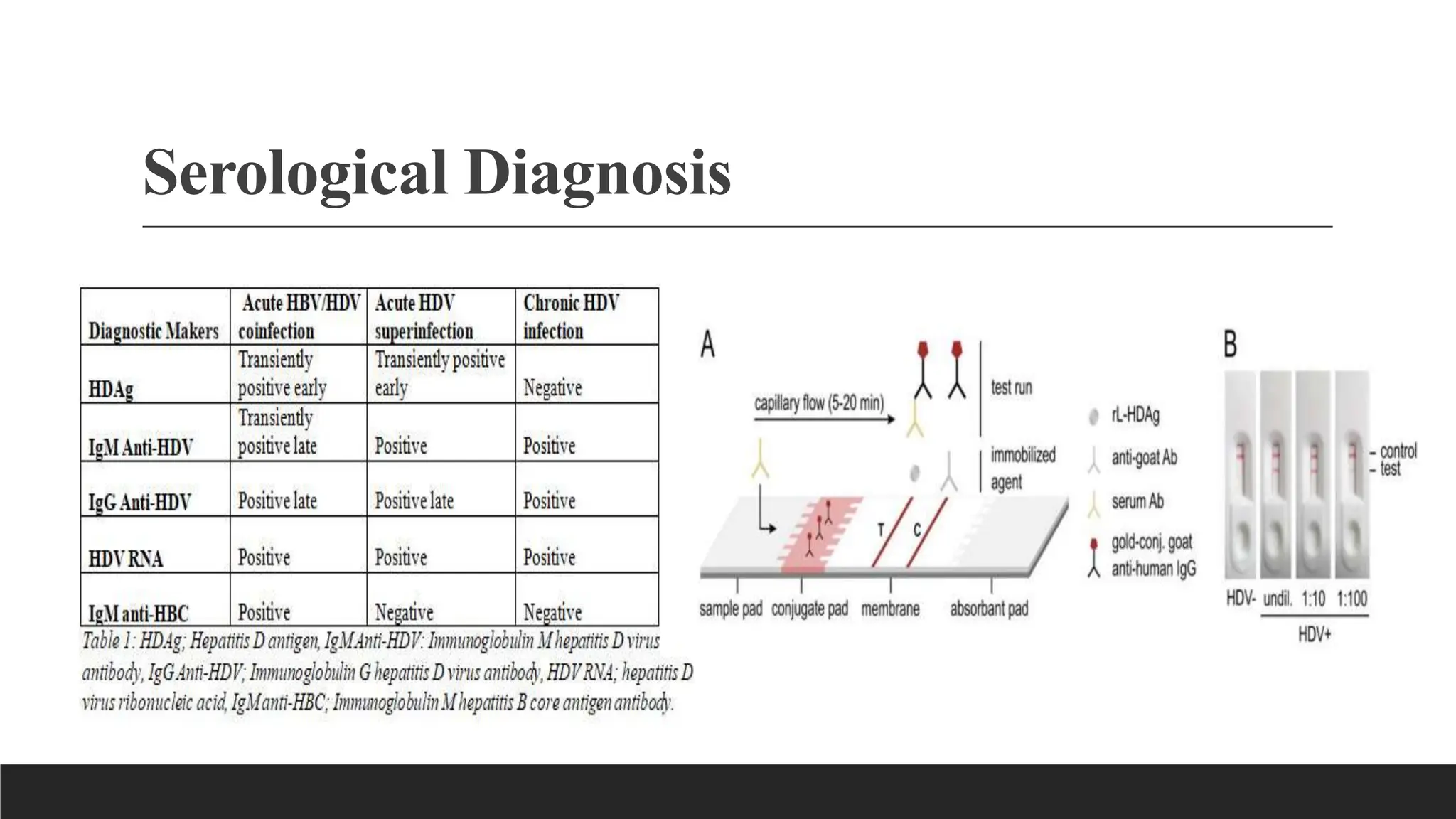 Serological Diagnosis of Hepatitis | PPTX