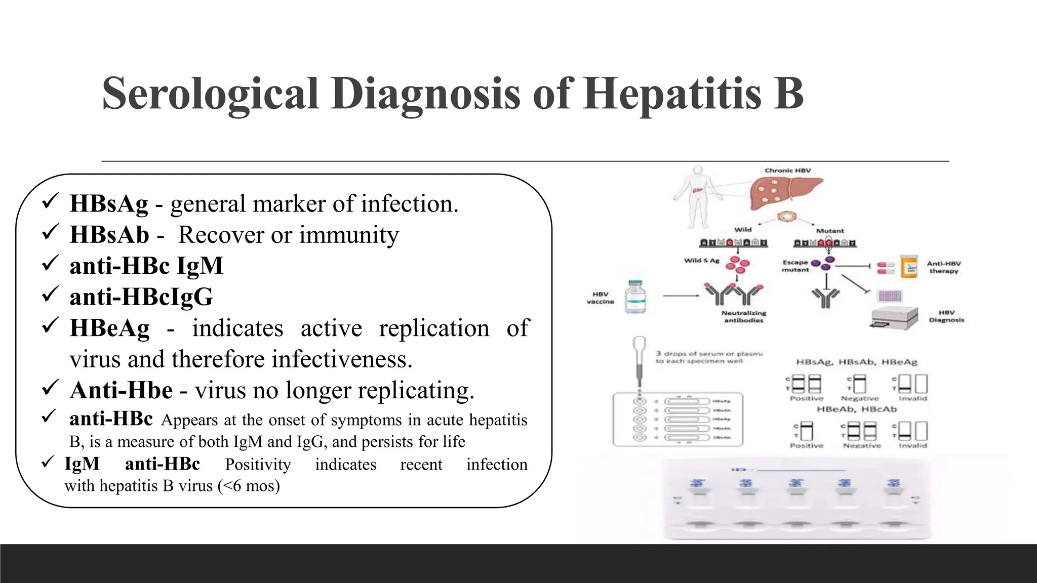 Serological Diagnosis of Hepatitis | PPTX