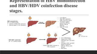 Serological Diagnosis of Hepatitis | PPTX
