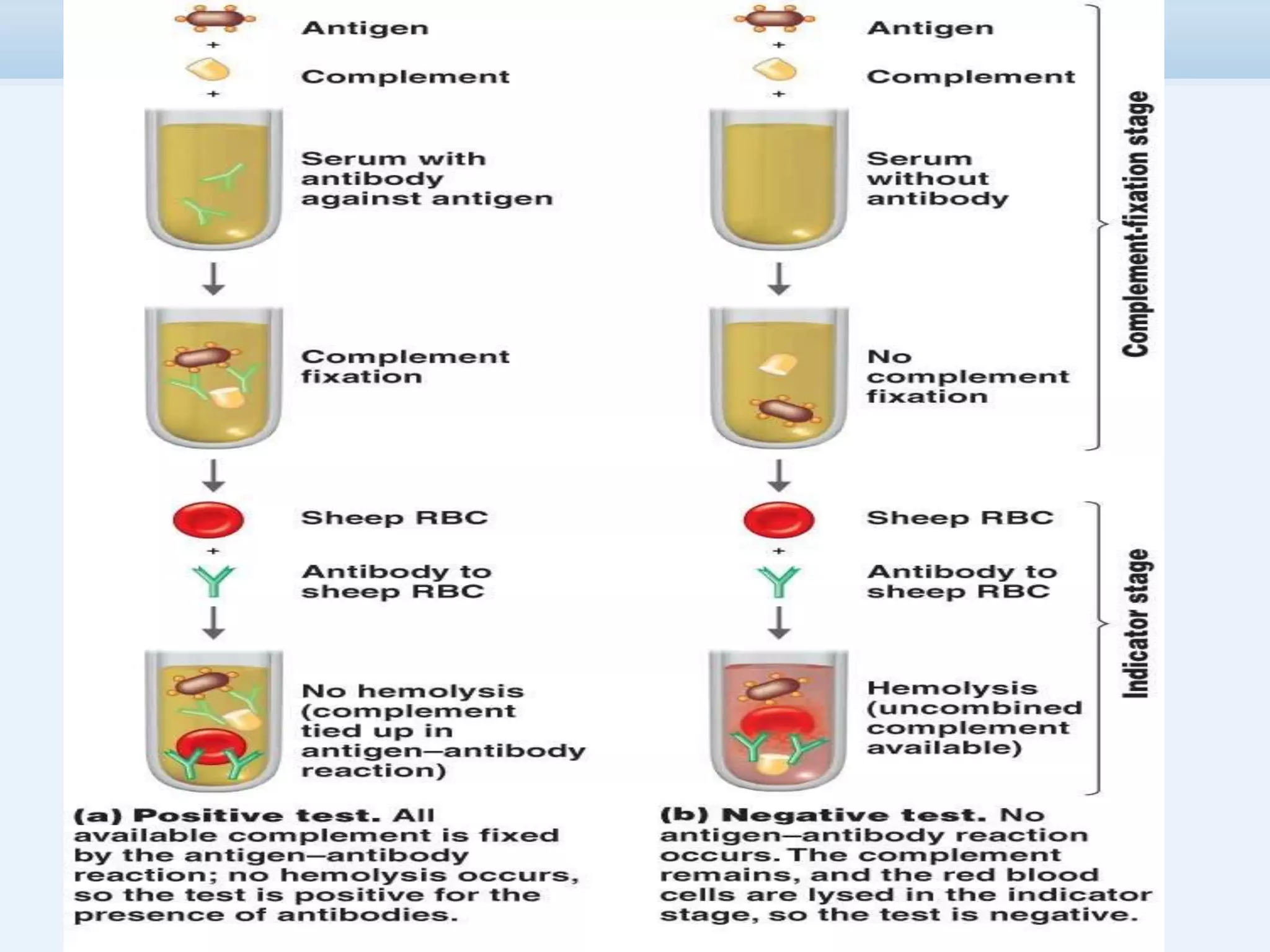 Serological Diagnosis of Infectious Diseases | PPTX