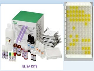 Serological Diagnosis of Infectious Diseases | PPTX