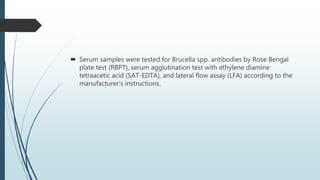 Serological evidence of brucellosis in goats | PPTX