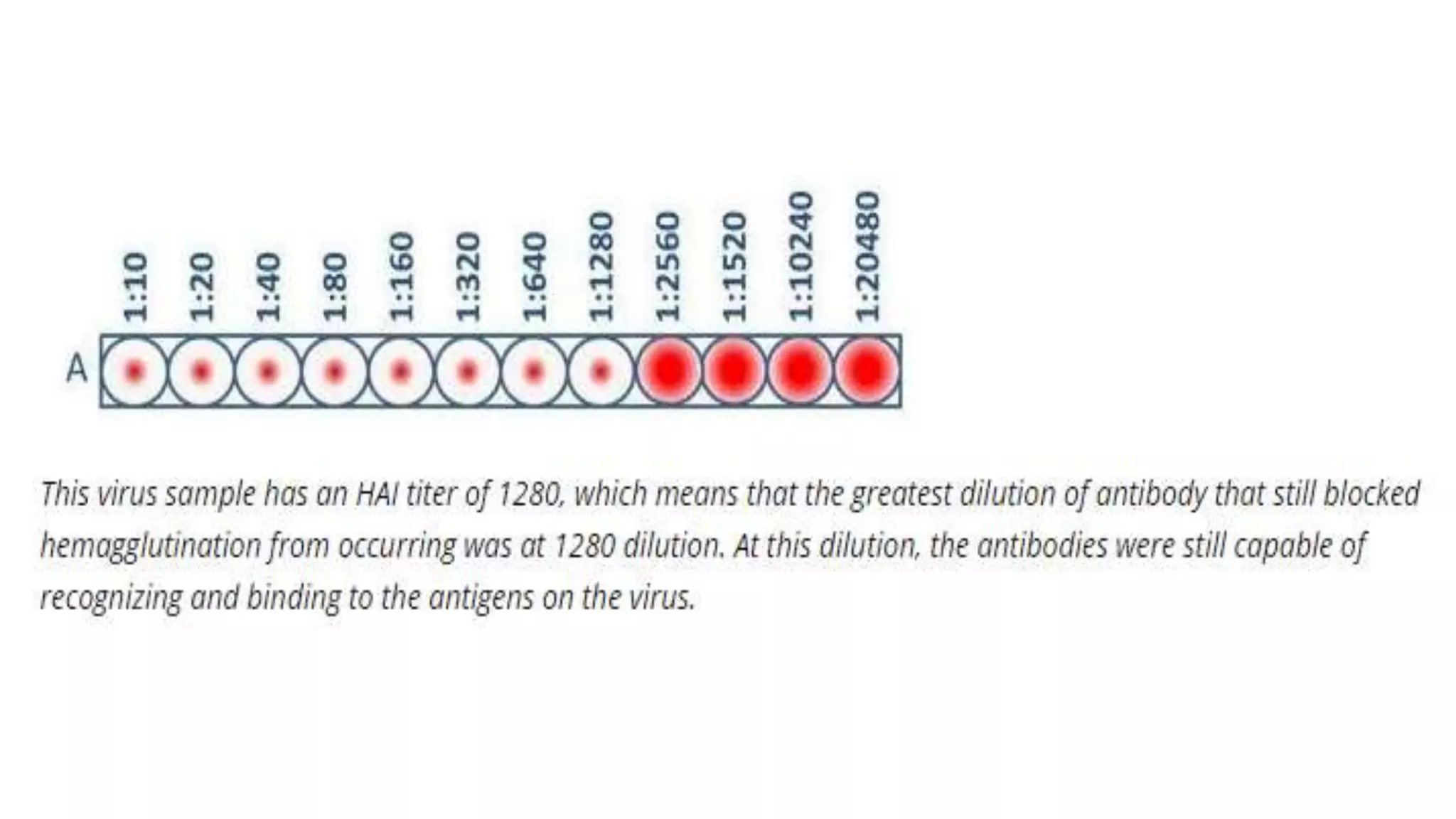 Serological methods for detection of viruses | PPTX