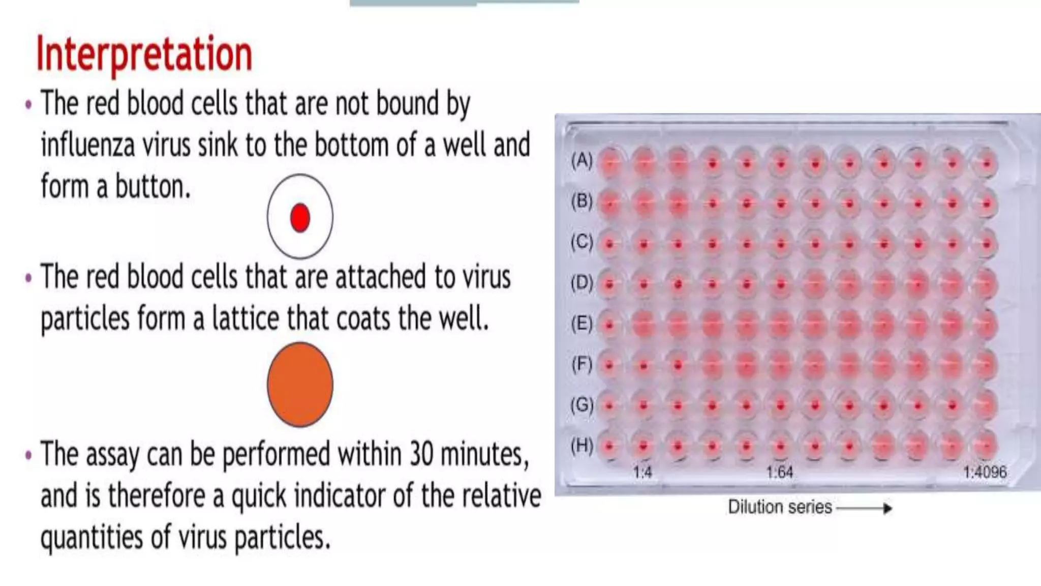 Serological methods for detection of viruses | PPTX