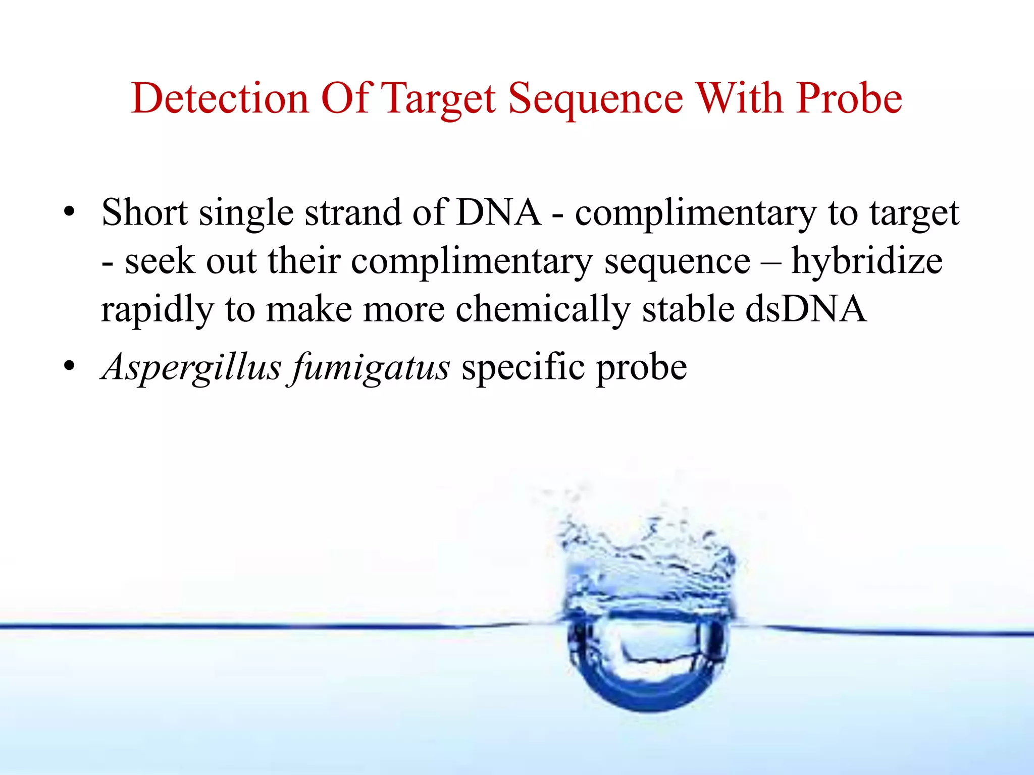 Serological, molecular & histopathological diagnosis of fungal | PPTX