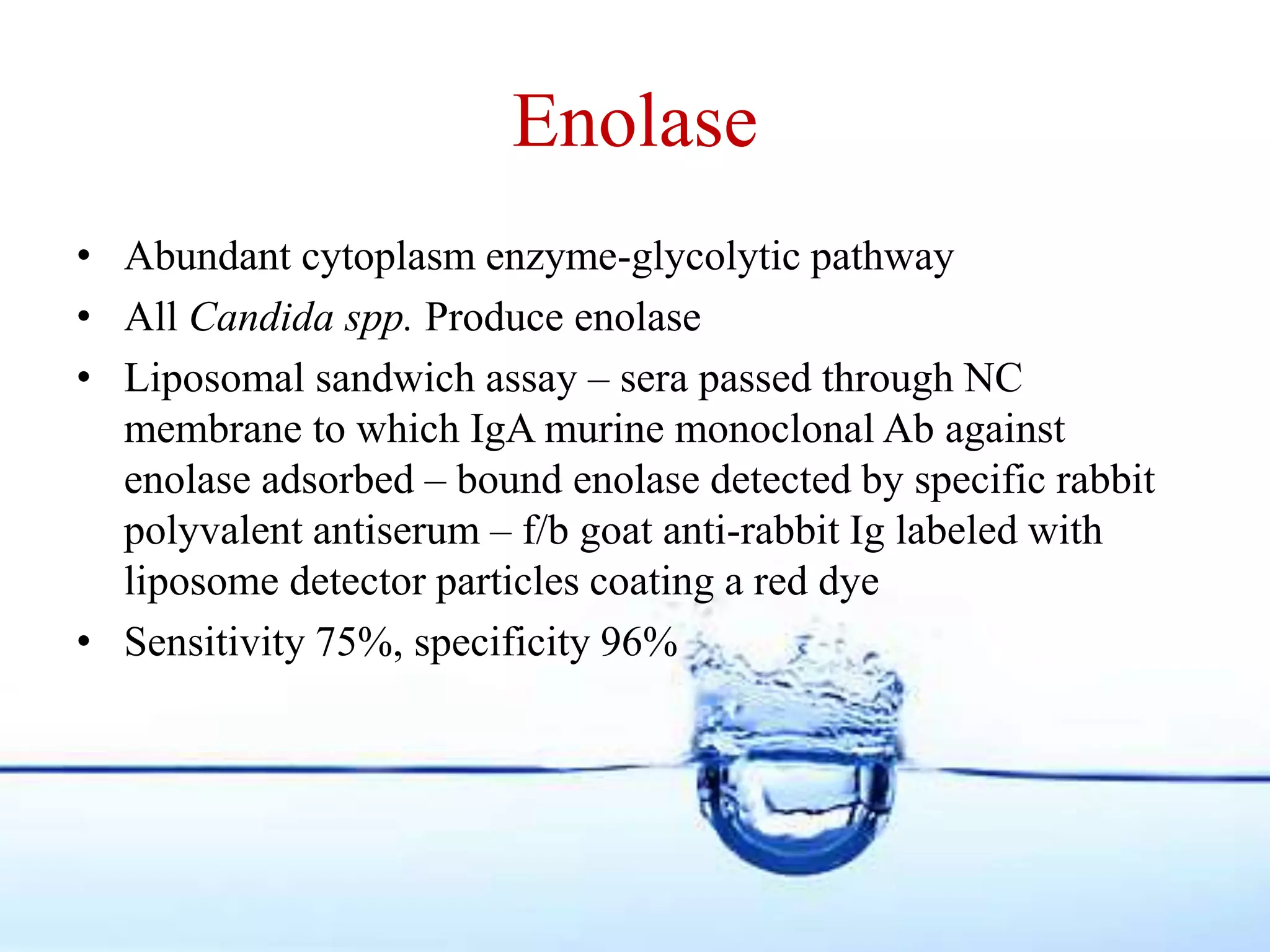 Serological, molecular & histopathological diagnosis of fungal | PPTX