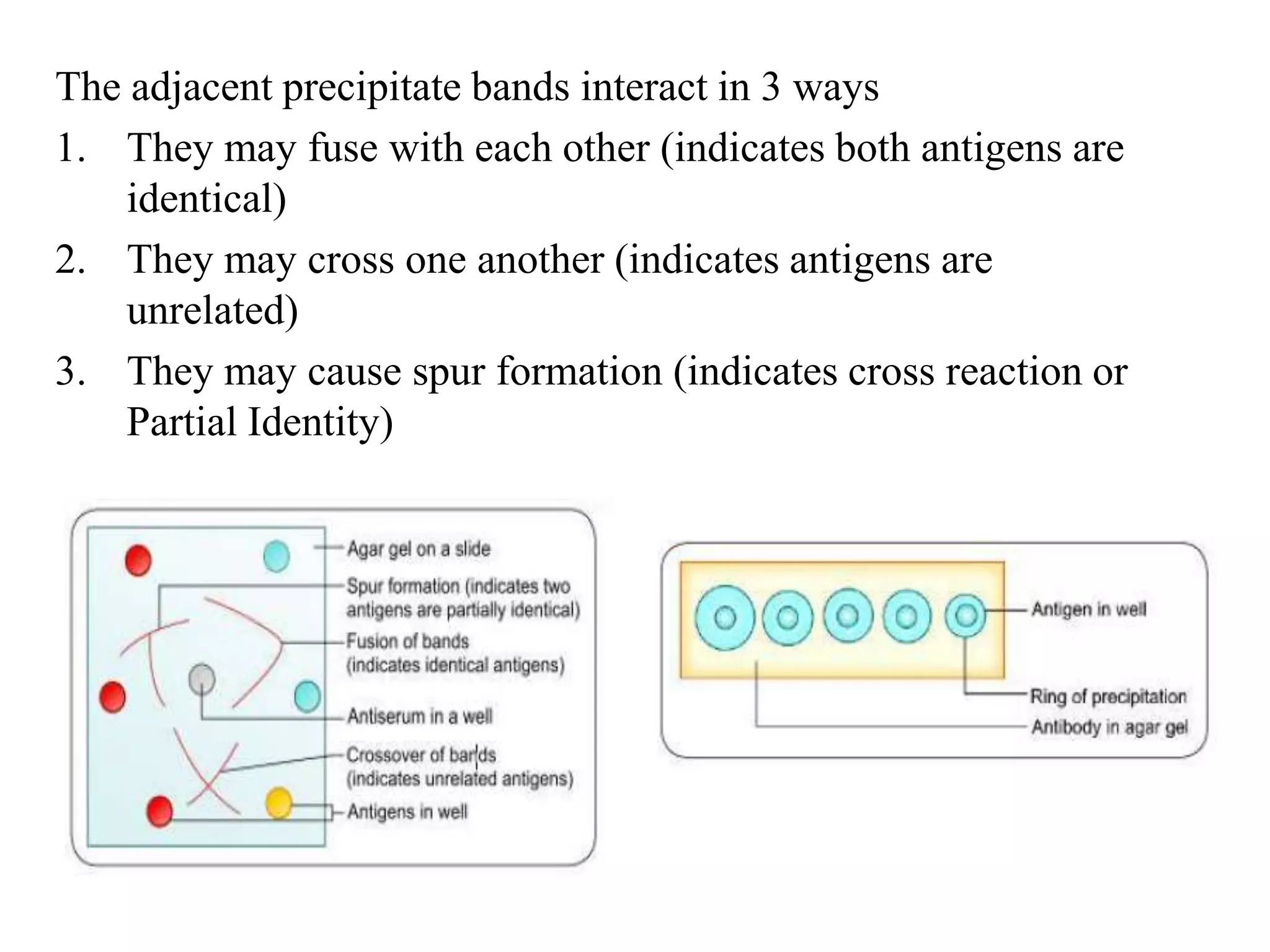 Serological Reactions.pptx