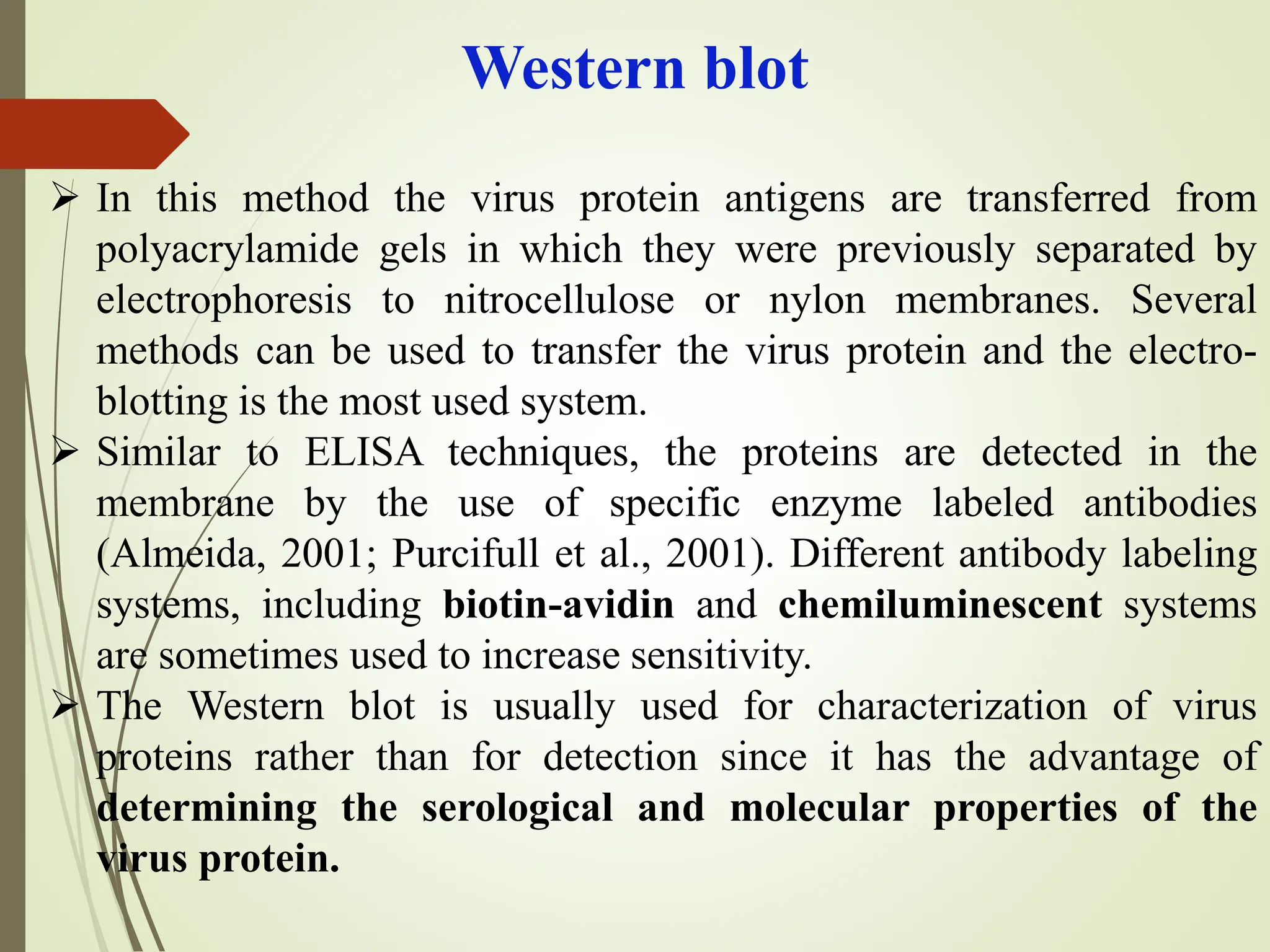 serological techniques for detection of plant virus.pptx