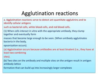 Serological techniques and immune assays | PPTX