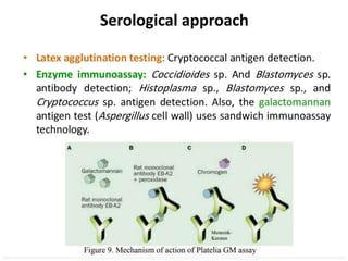 serological test.pptx