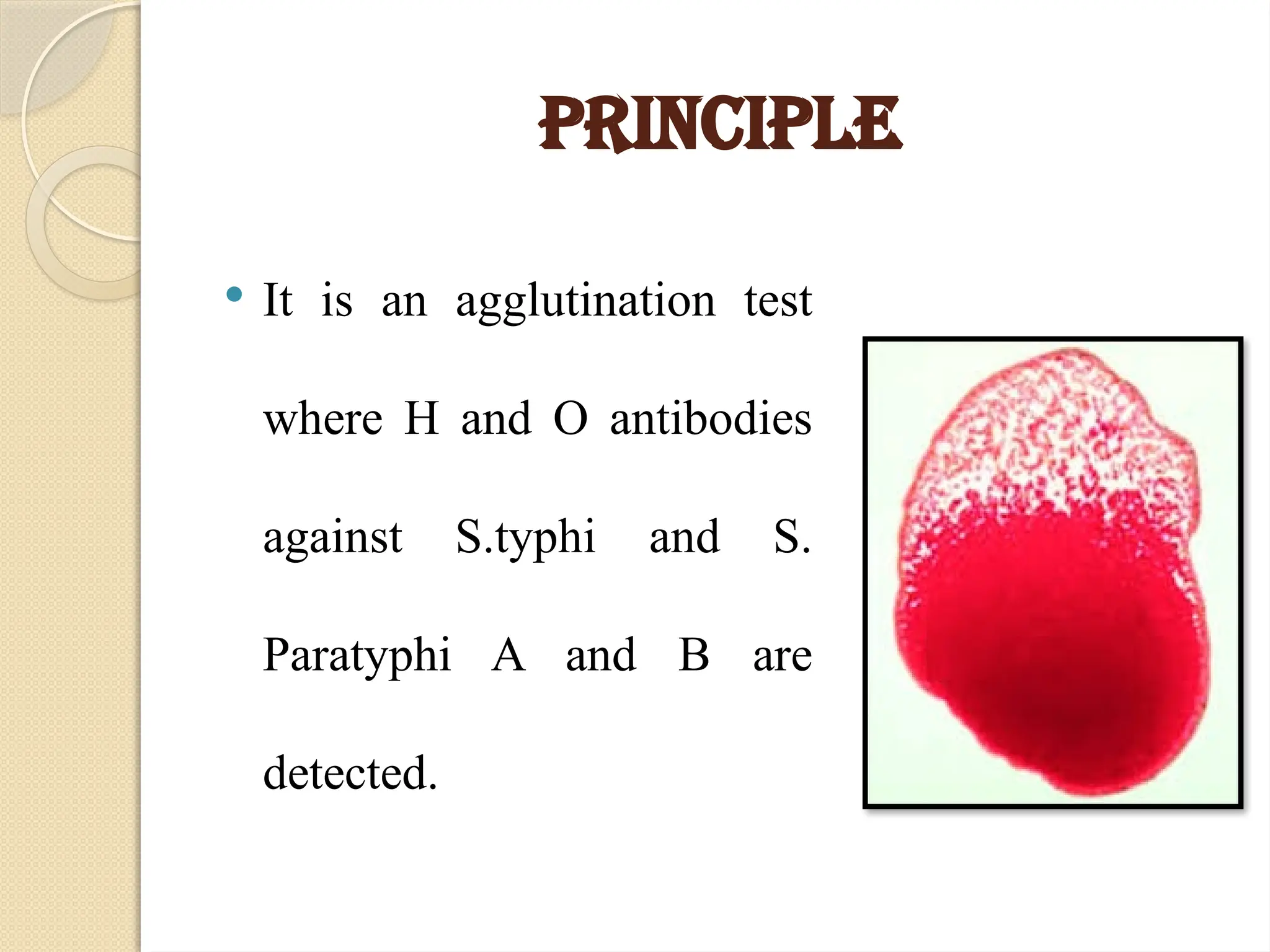 Serological test as widal for diagnosis of disease.pptx