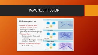 Serological test for fungi | PPTX
