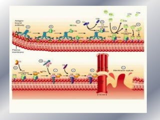 Serological Tests Pdf