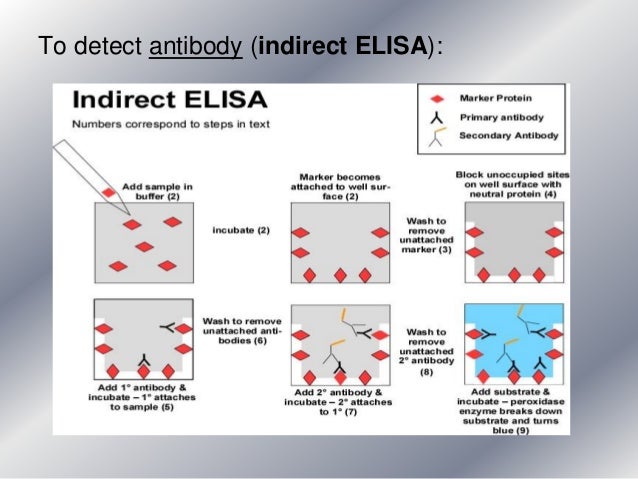 Serological tests