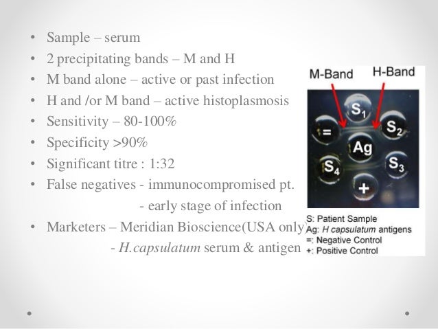 Serological tests in mycology