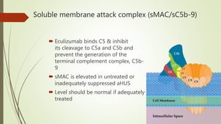 Serology in Renal Diseases.pptx