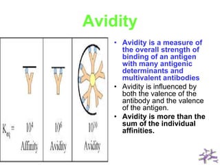 Serology.ppt