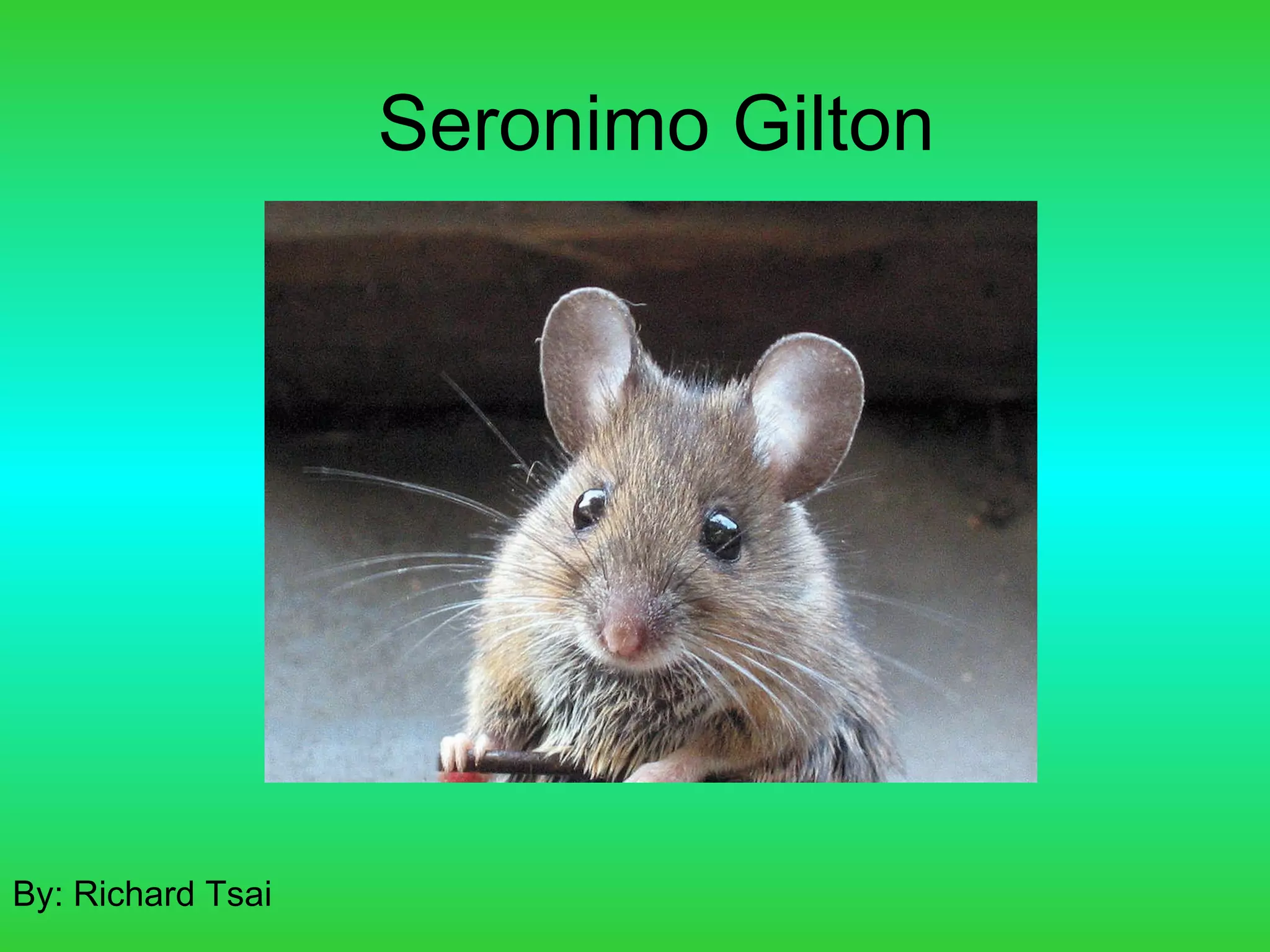 Seronimo gilton | PPT