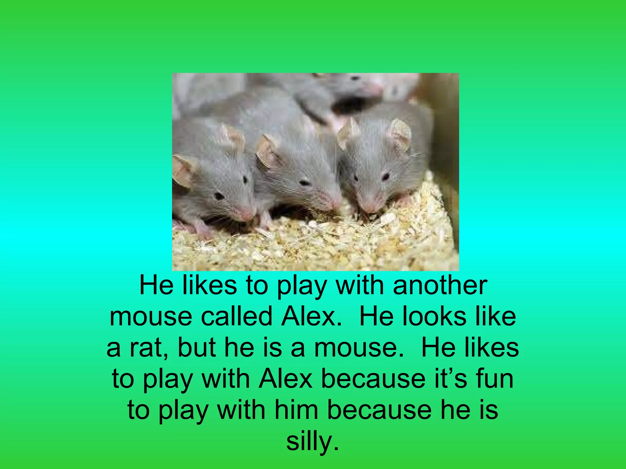 Seronimo gilton | PPT