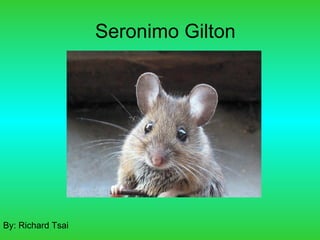 Seronimo gilton | PPT