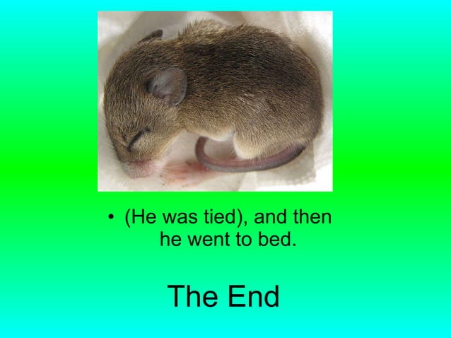 Seronimo gilton | PPT