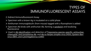 Immunofluorescence: A Brief Discussion | PPTX