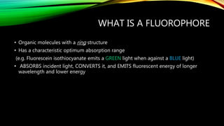 Immunofluorescence: A Brief Discussion | PPTX