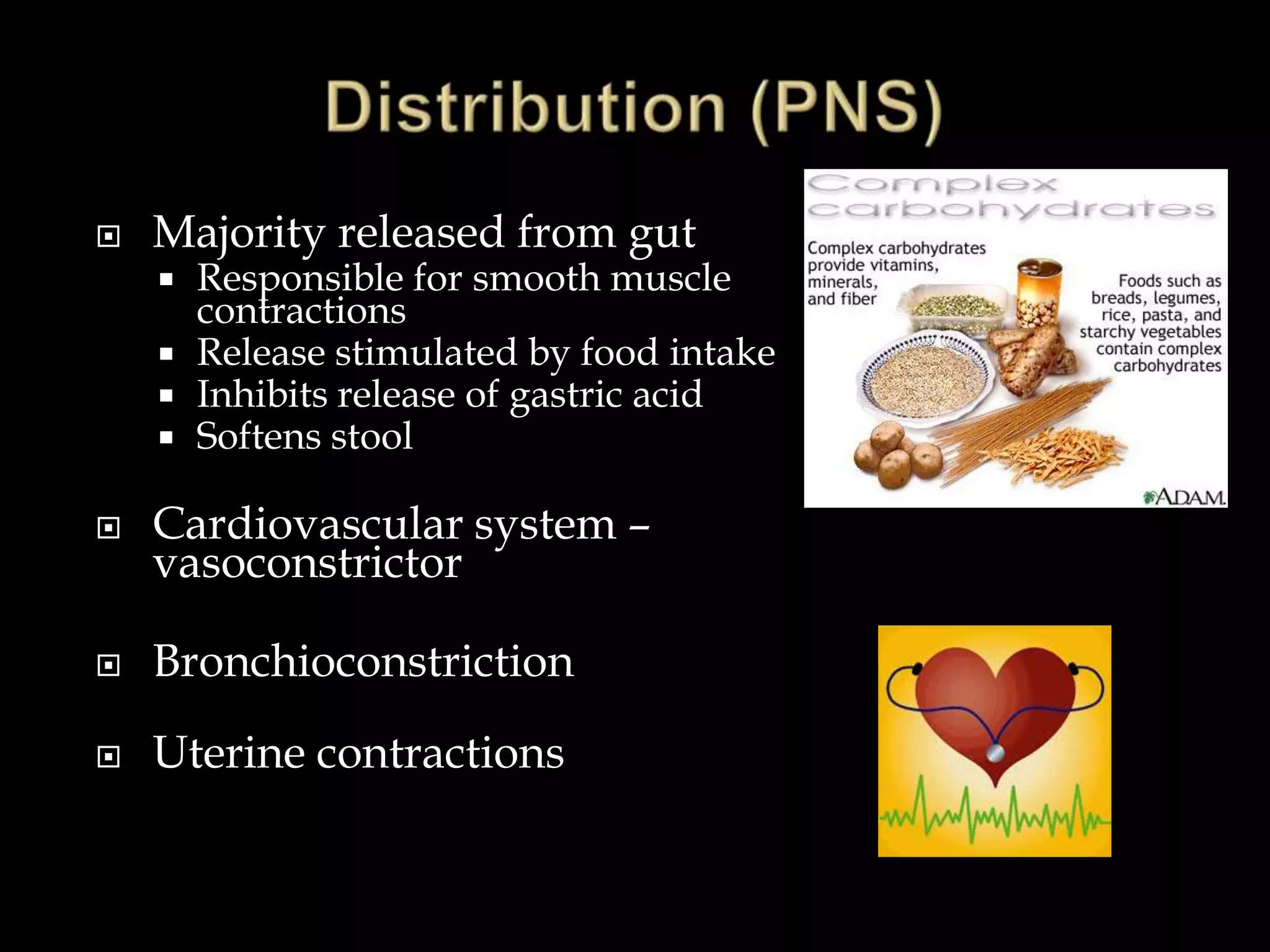 Serotonergic system ravi | PPTX
