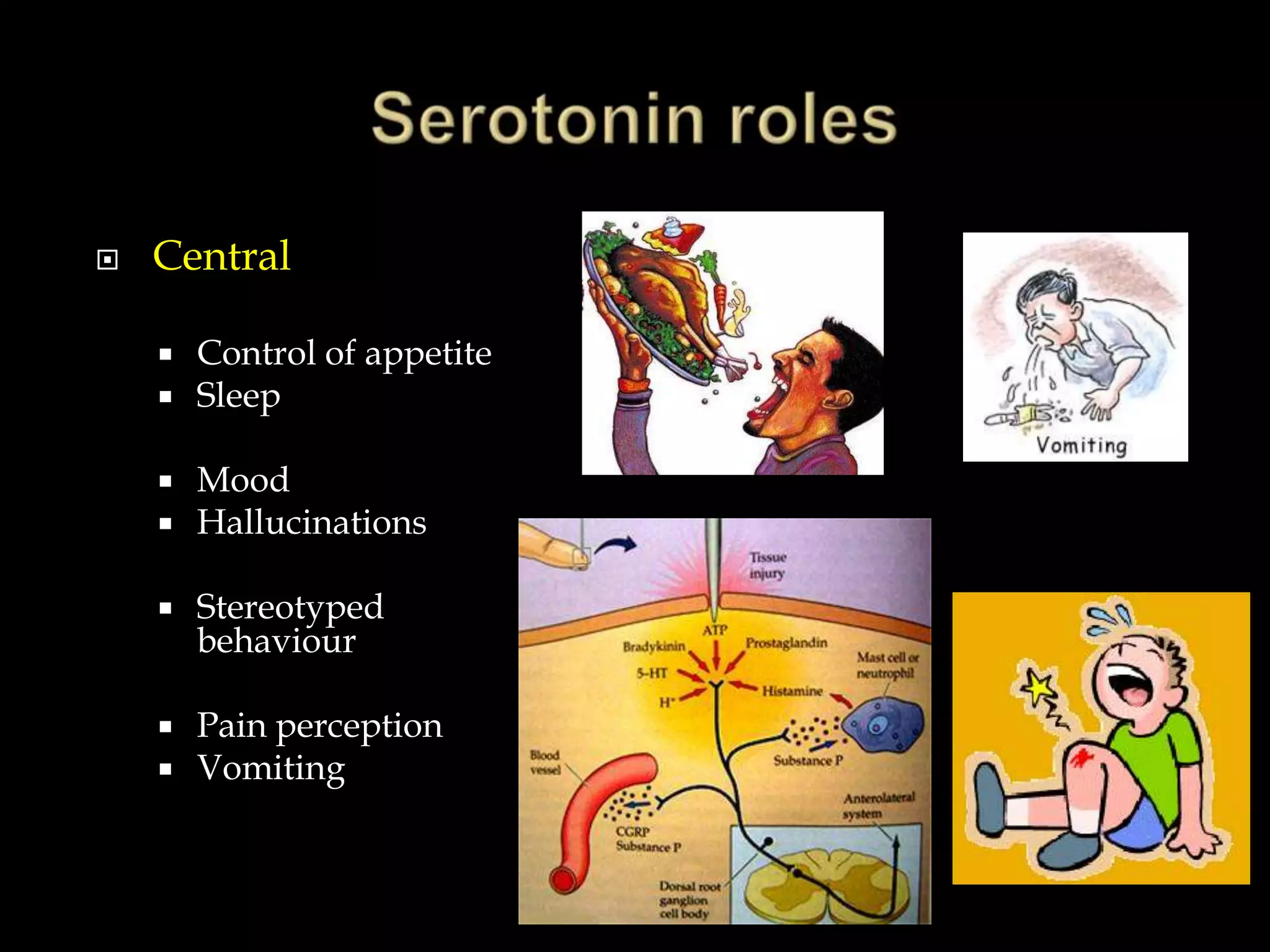 Serotonergic system ravi | PPTX