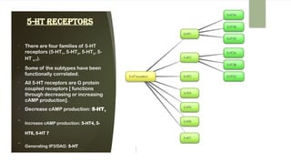 Detailed Pharmacology of Serotonin (5-HT) | PPT