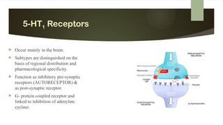 Detailed Pharmacology of Serotonin (5-HT) | PPT