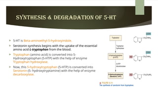 Detailed Pharmacology of Serotonin (5-HT) | PPT