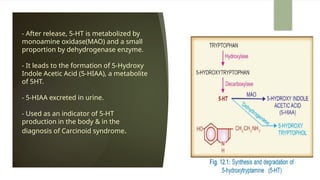 Detailed Pharmacology of Serotonin (5-HT) | PPT