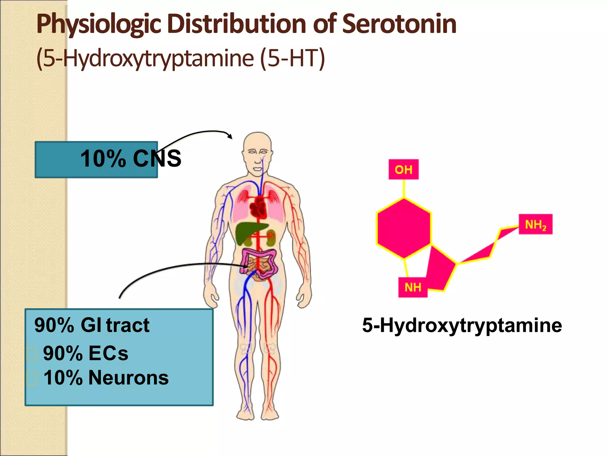 Serotonin | PPTX | Endocrine and Metabolic Diseases | Diseases and ...