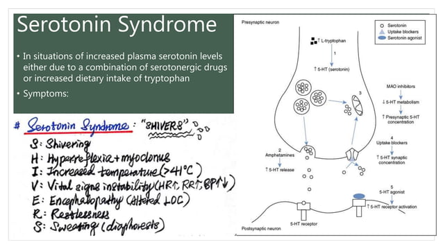 Serotonin | PPT | Free Download
