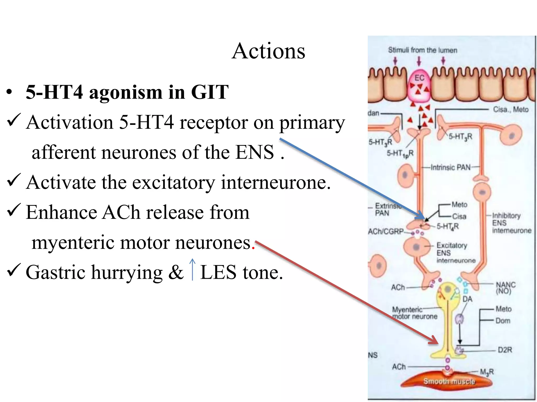 Serotonin & drugs acing on serotonin receptors | PPTX