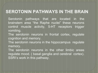 serotonin.pptx | Endocrine and Metabolic Diseases | Diseases and Conditions