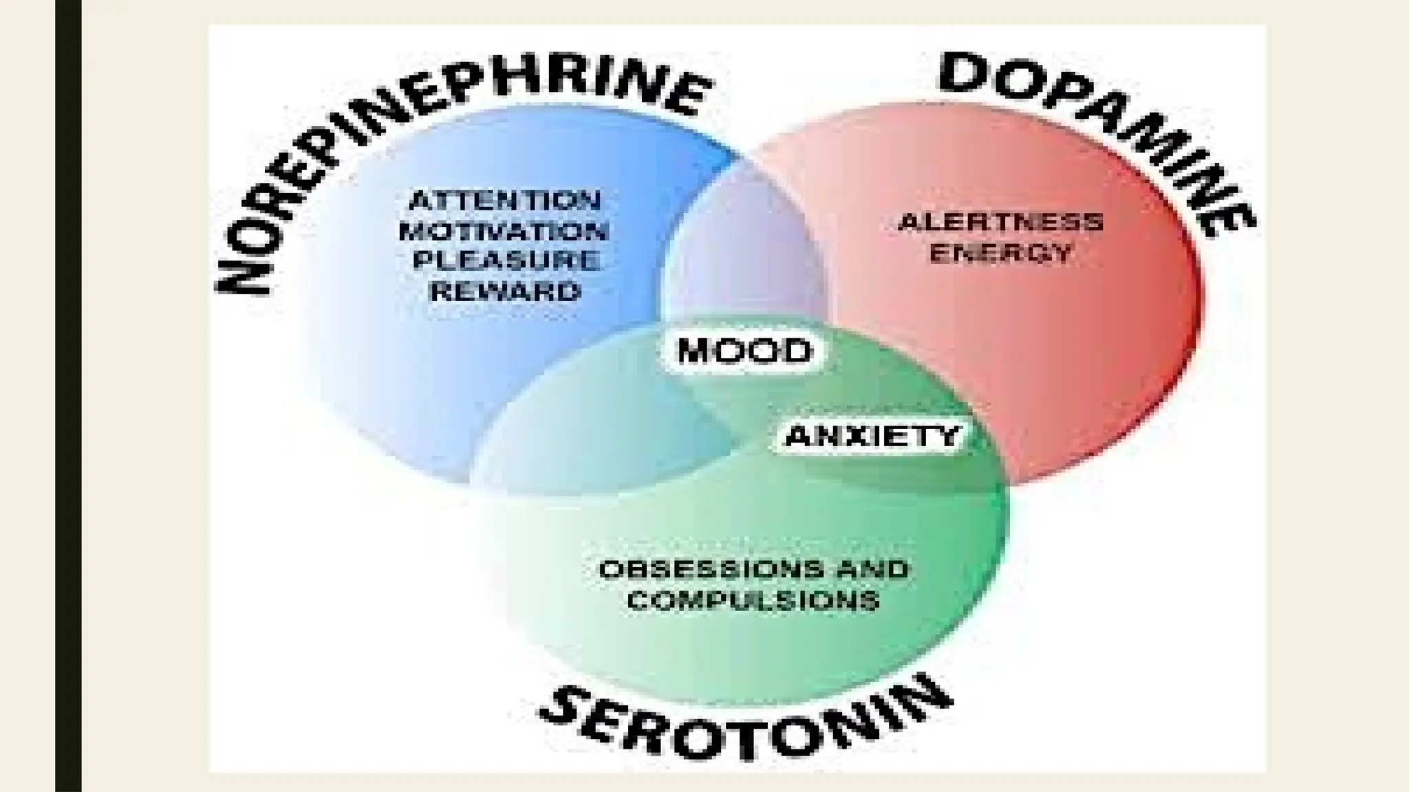 SEROTONIN production, receptors and clinical relevancy.pptx