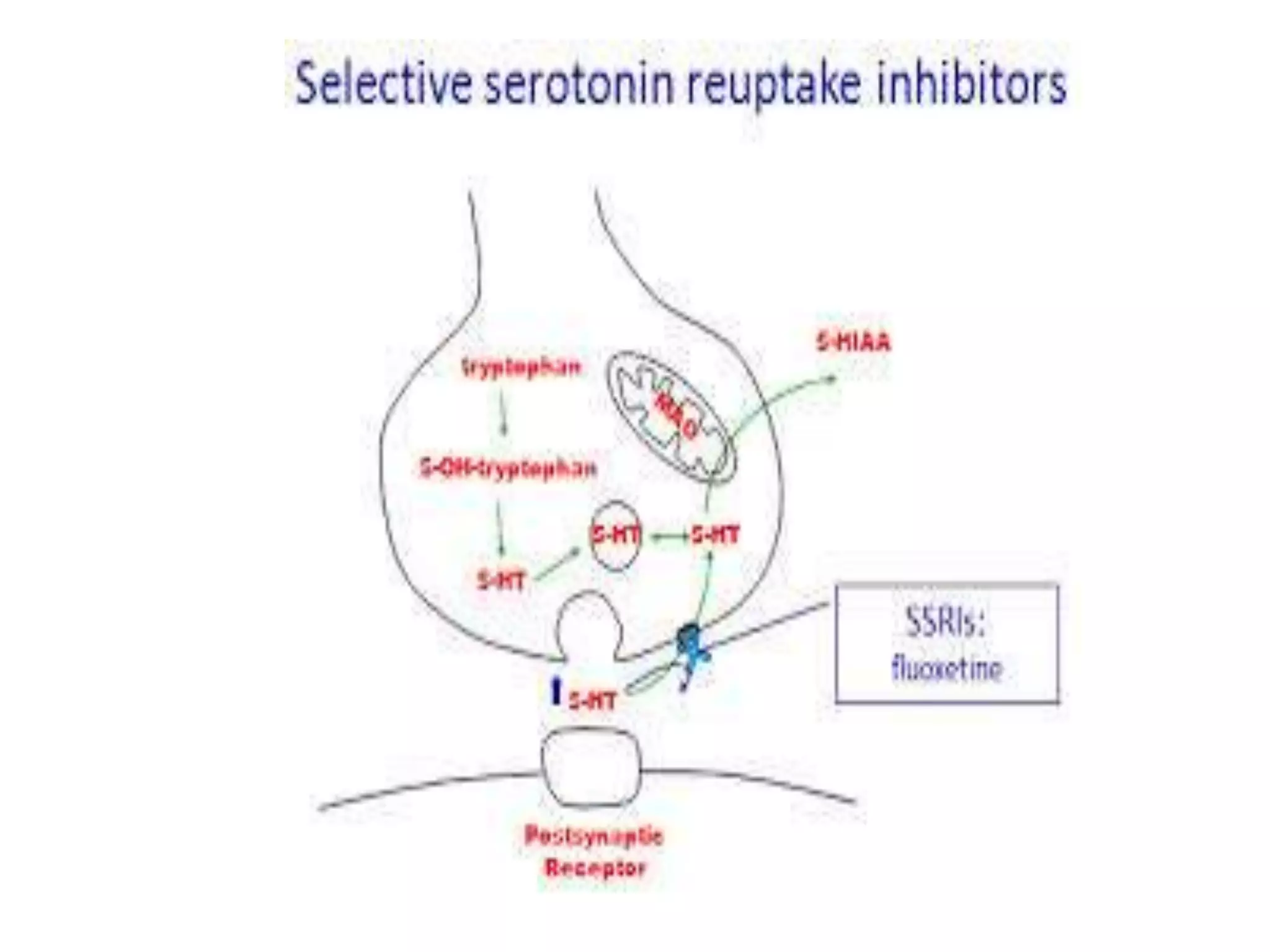 Serotonin agonist &antagonist | PPTX