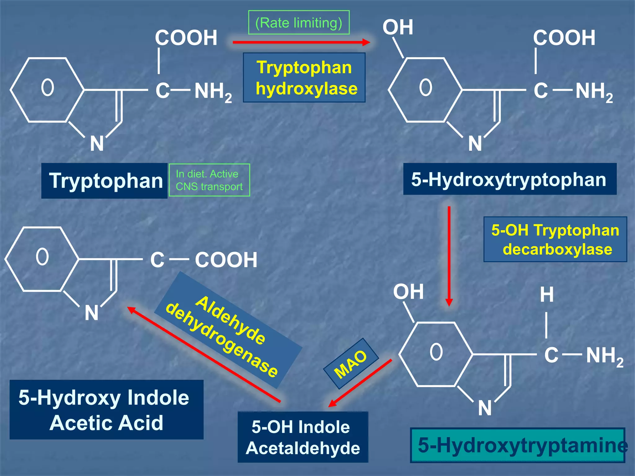 Serotonin | PPTX