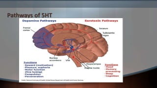 Serotonin ( 5 HT).Neurotransmitter, ppt. | PPTX | Brain and Nervous ...