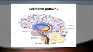 Serotonin ( 5 HT).Neurotransmitter, ppt. | PPTX