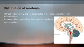 Serotonin ( 5 HT).Neurotransmitter, ppt. | PPTX | Brain and Nervous System Disorders | Diseases ...