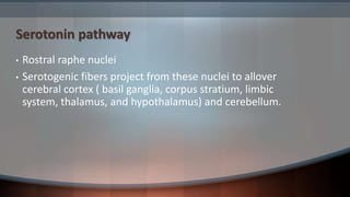Serotonin ( 5 HT).Neurotransmitter, ppt. | PPTX | Brain and Nervous ...