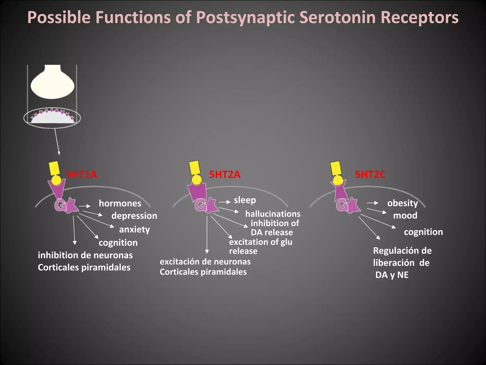 Serotonina | PPT