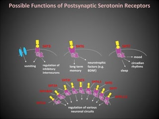 Serotonina | PPT