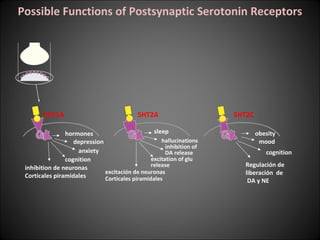 Serotonina | PPT