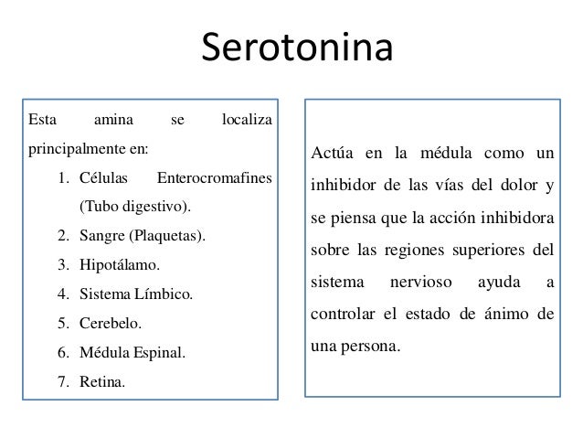 La Serotonina, ¿Qué Es Y Cuál Es Su Función? – WATQVT