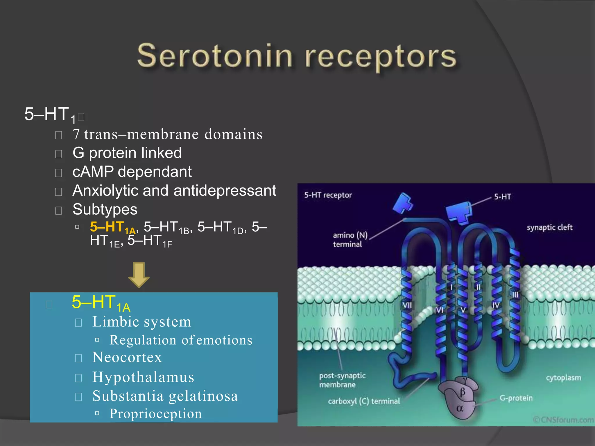 Serotonin pharmacology | PPTX